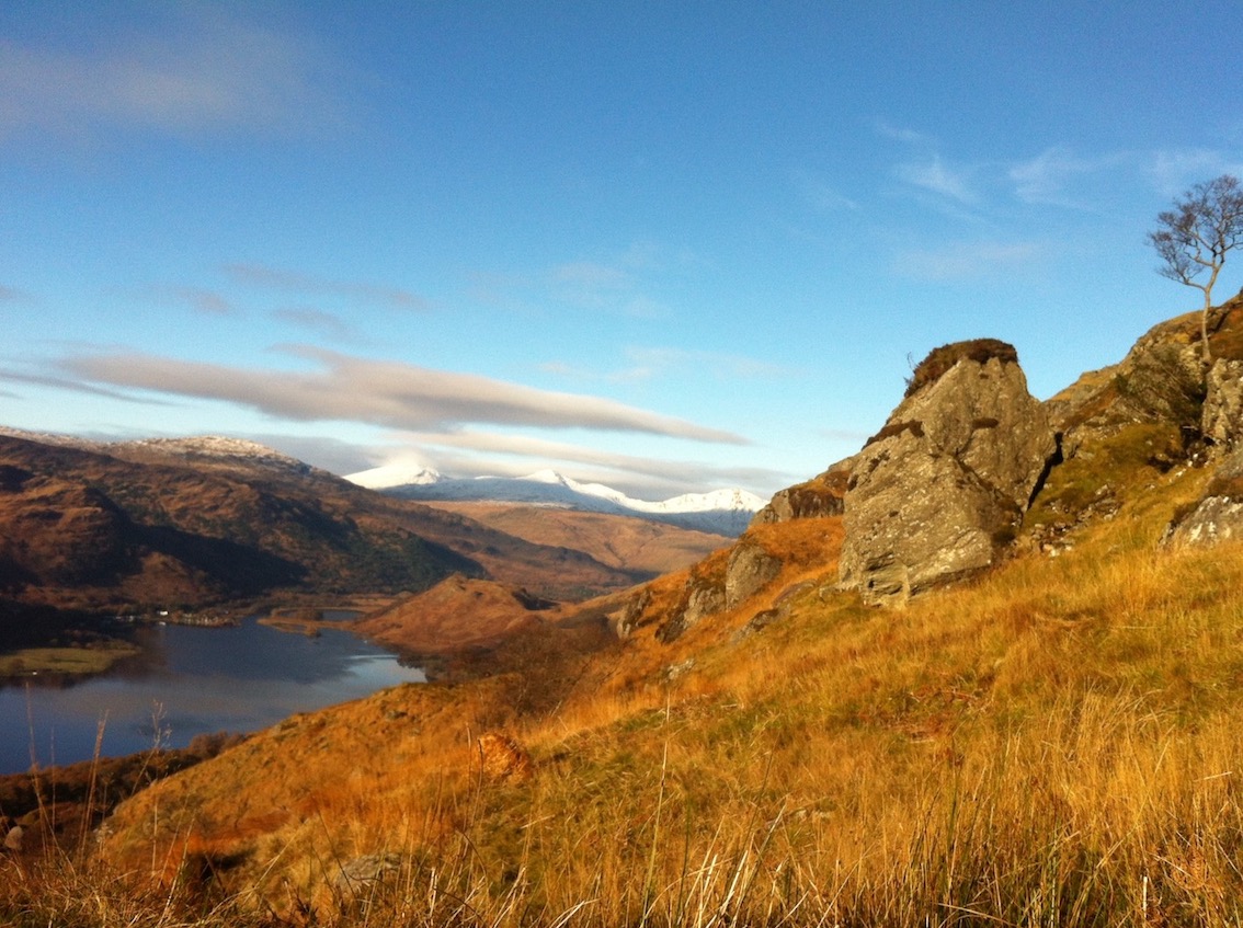 The Common Ground Forum